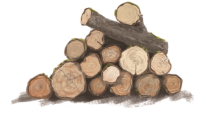 How to build a log pile - Stag Beetles